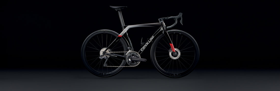 Collezioni – Cipollini